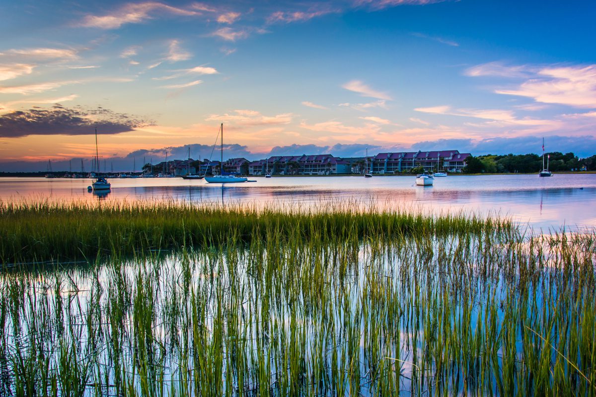 Moving to James Island, South Carolina: Helpful Local Resources for ...